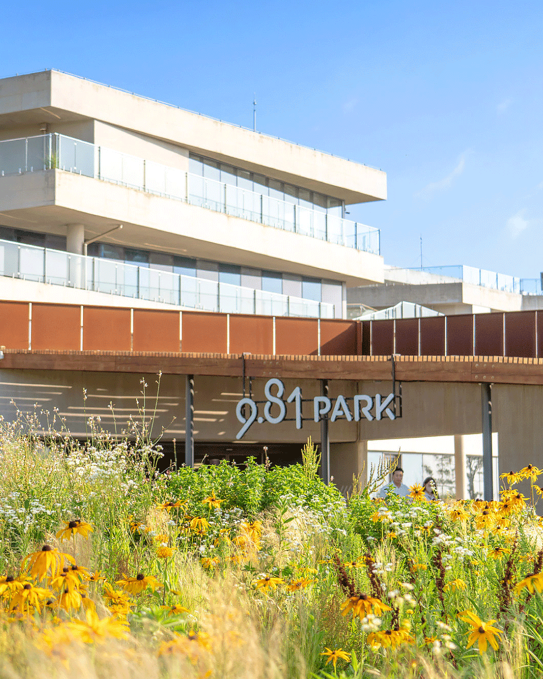 9.81 PARK JEJU | 미리 사면 10% 할인! 9.81파크 예약 할인 받는 방법 공개!